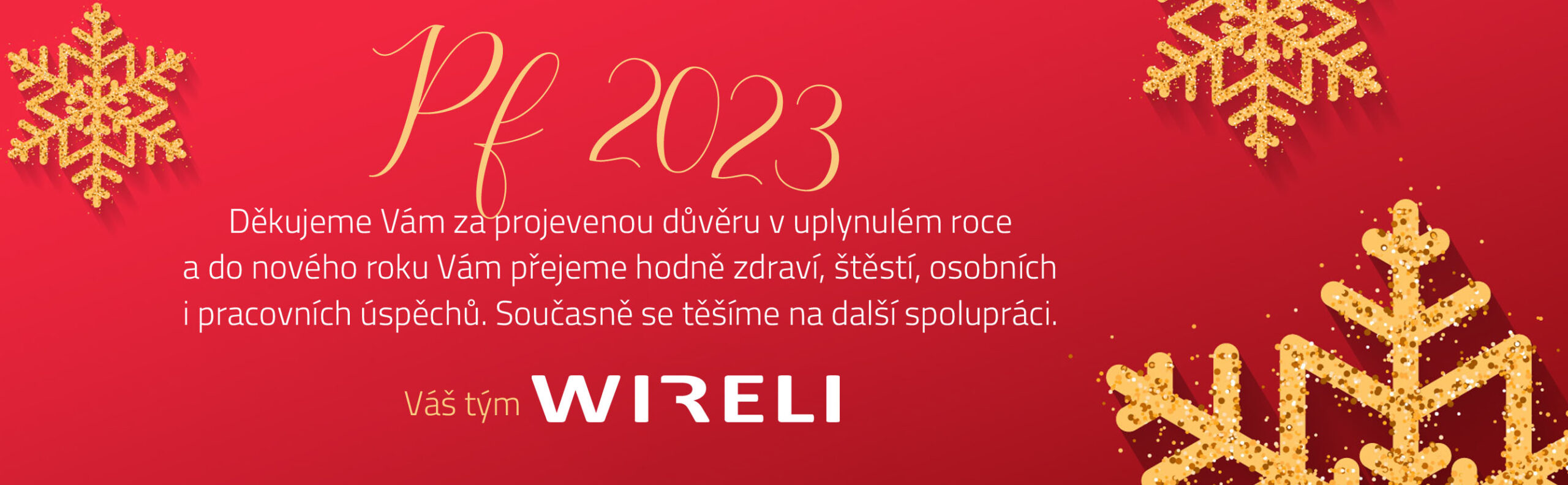 Pf 2023 - Wireli